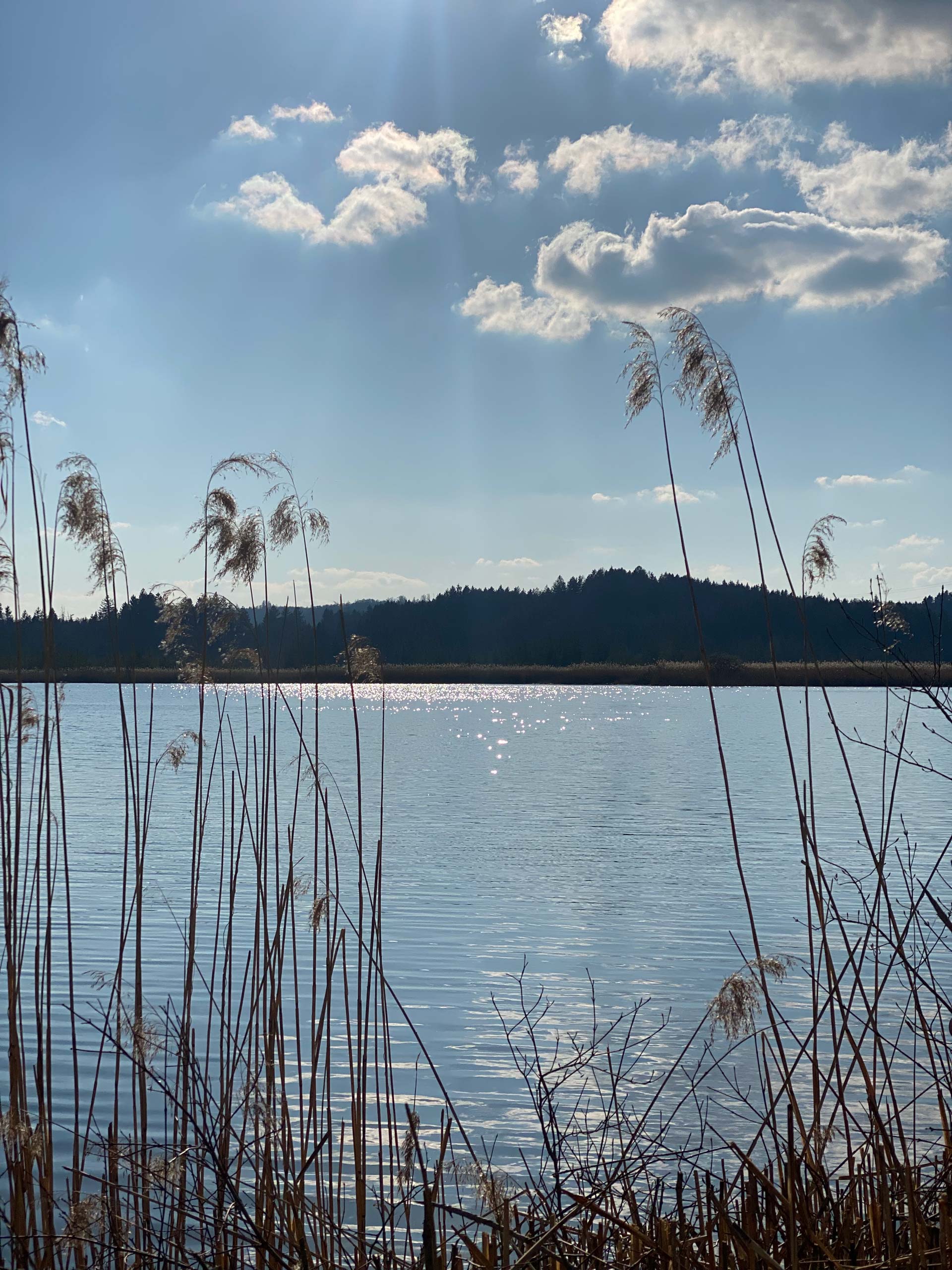 Startseite - Alte Mühle Maising